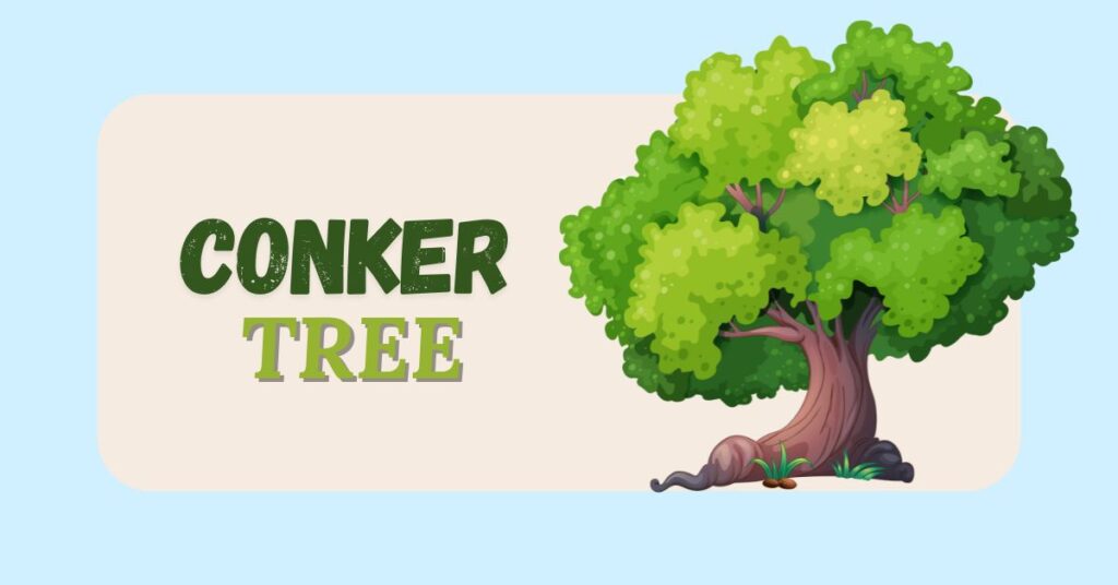 conker tree - Venison Magazine